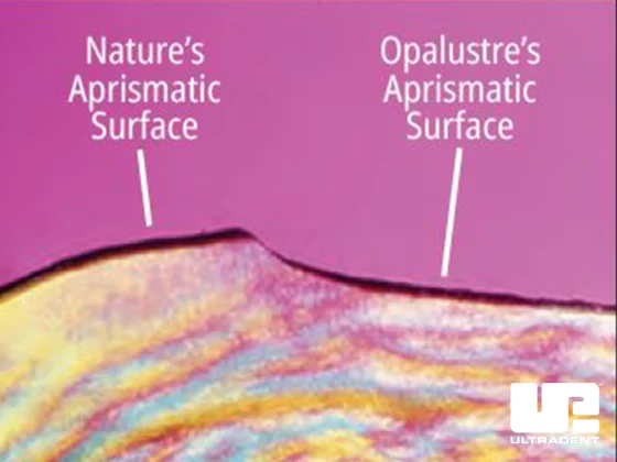 E-Dental Mart | Opalustre